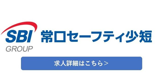 【IG→SSIH出向】システム統括部 管理職（東京） | SBIインシュアランスグループ